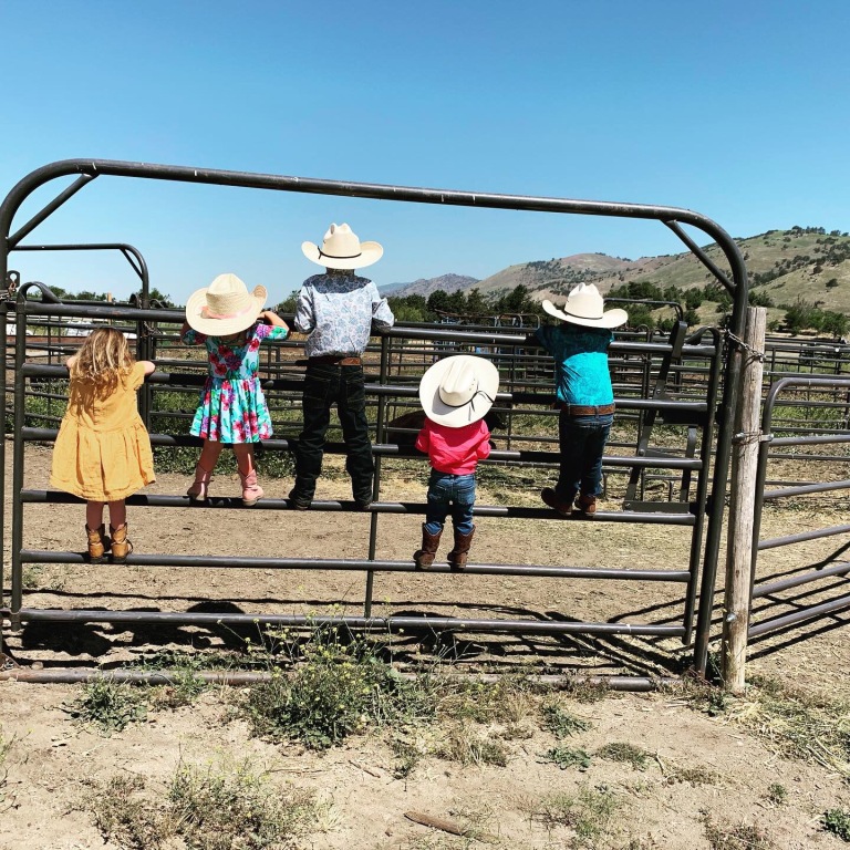 Experience - Brite Creek Farm