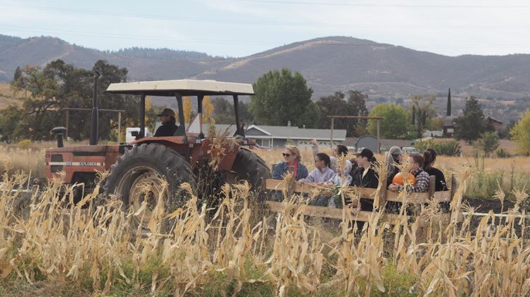 Experience - Brite Creek Farm